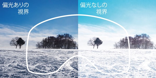 24-25 HELI [HELI-MPDTBS-N B/SHD] | [official]SWANS